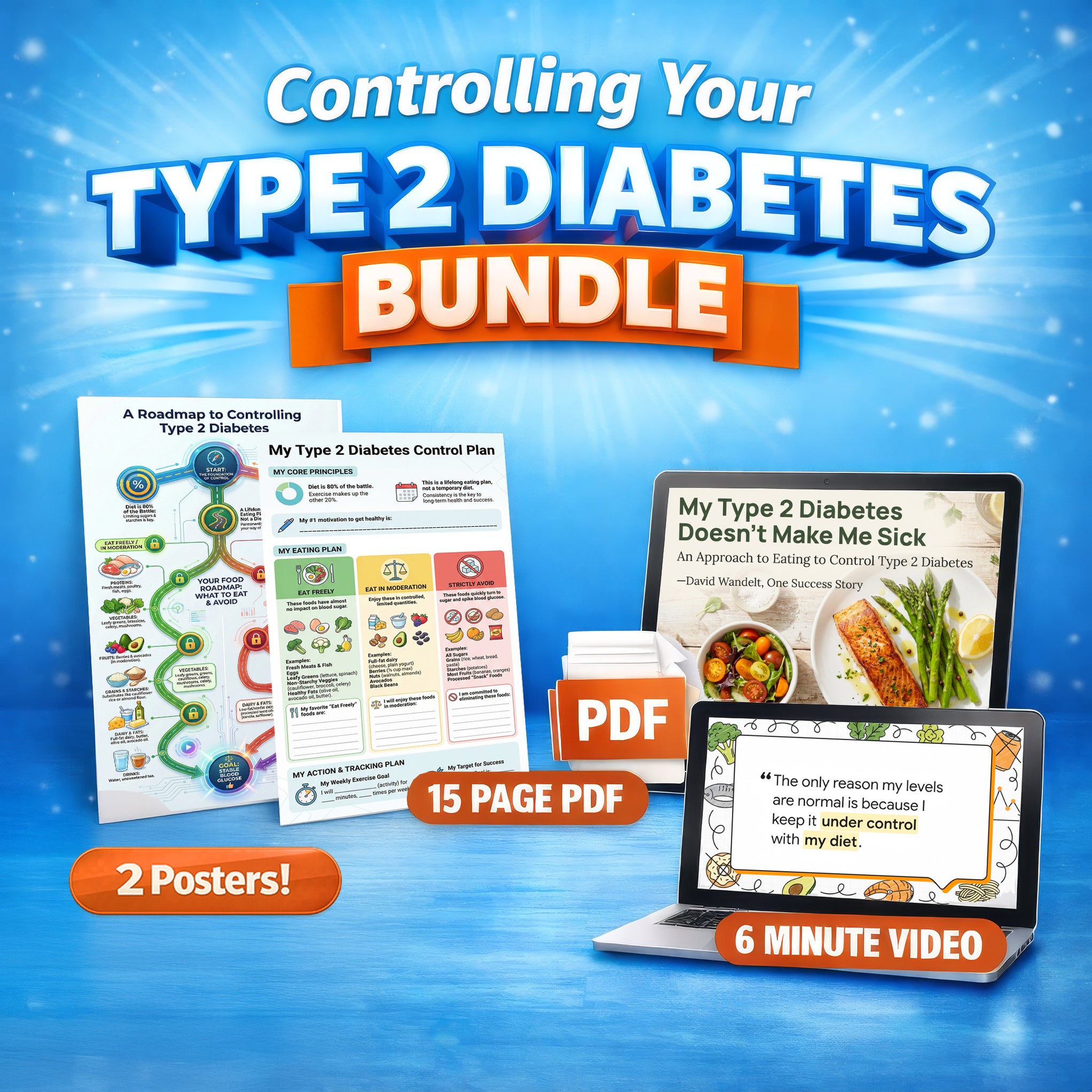Controlling Your Type 2 Diabetes Bundle ( 2 Posters + 15-Page PDF + Gu ...