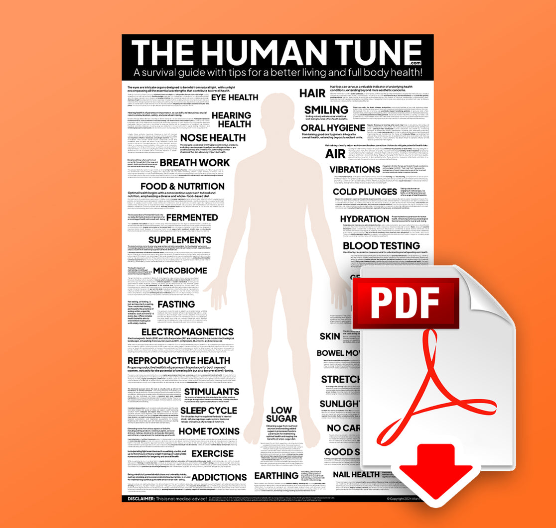 The Ultimate Drum Reference Poster — Best Music Stuff