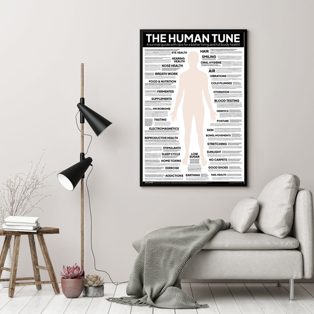 The Ultimate Drum Reference Poster — Best Music Stuff