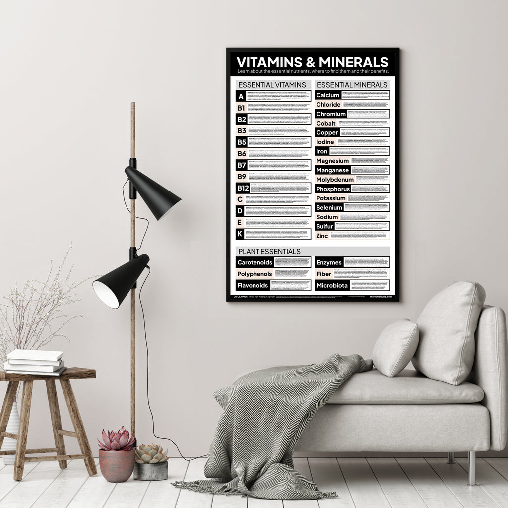 The Ultimate Drum Reference Poster — Best Music Stuff