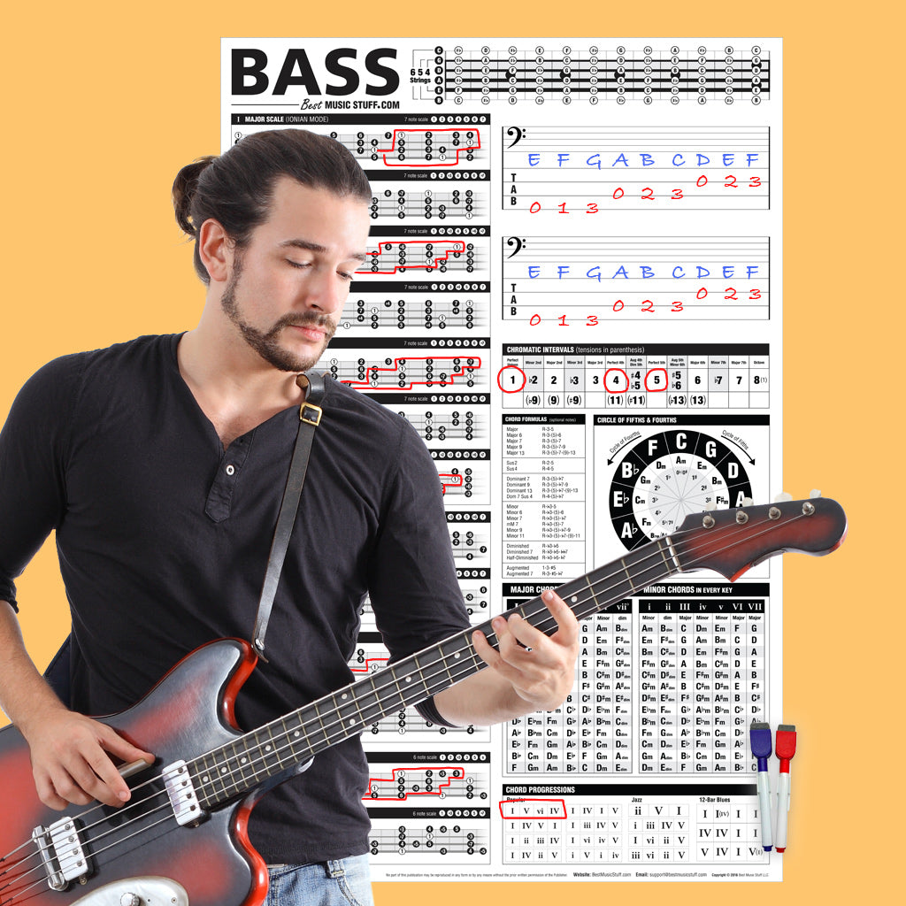 The Creative Bass Poster (Dry-Erase) — Best Music Stuff