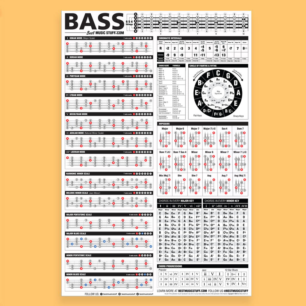 The Essential Bass Theory Reference Poster — Best Music Stuff